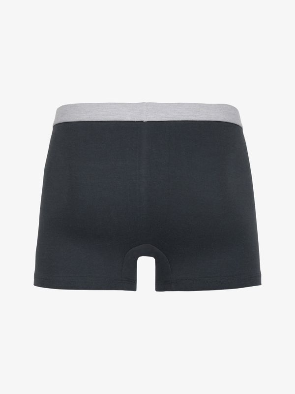 Gustav Boxer eng graphit, S